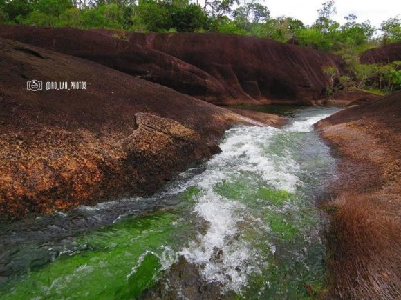 Parque Nacional Natural El Tuparro - Parques Nacionales Naturales de ...