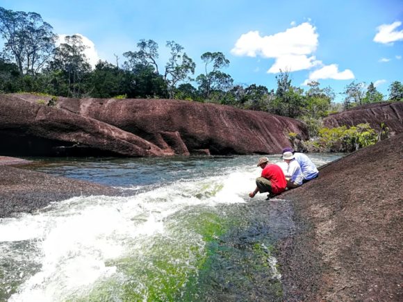 Parque Nacional Natural El Tuparro - Parques Nacionales Naturales de ...
