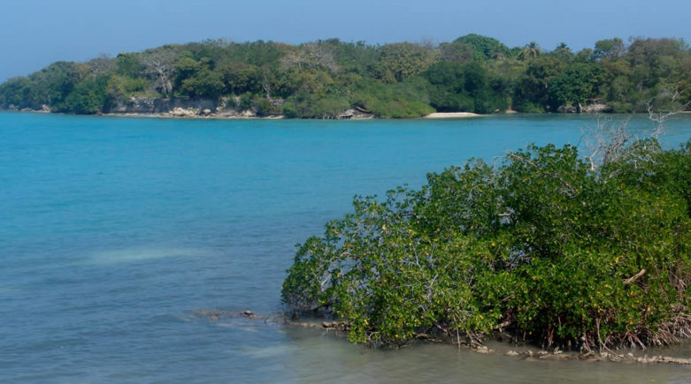 Corales del Rosario y de San Bernardo National Natural Park - Parques ...