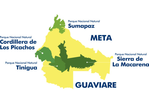Boletín frente a deforestación en AMEM que reitera nuestro compromiso ...