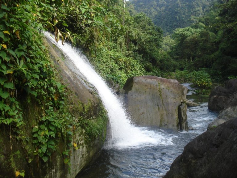 Desarrollo Local Sostenible - Parques Nacionales Naturales de Colombia