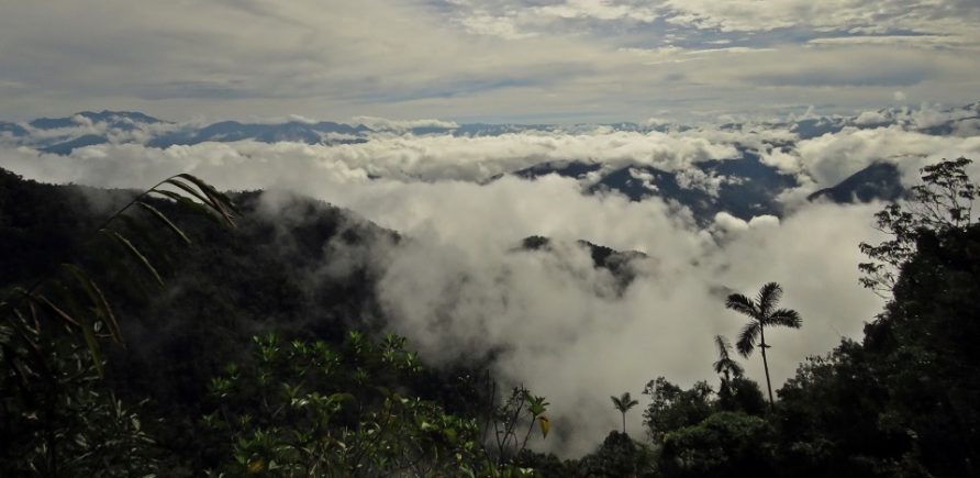 Abierto el Parque Nacional Natural Tatamá - Parques Nacionales ...